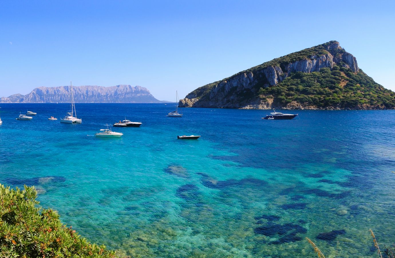 Alla scoperta del Golfo e dei Delfini - VRetreats