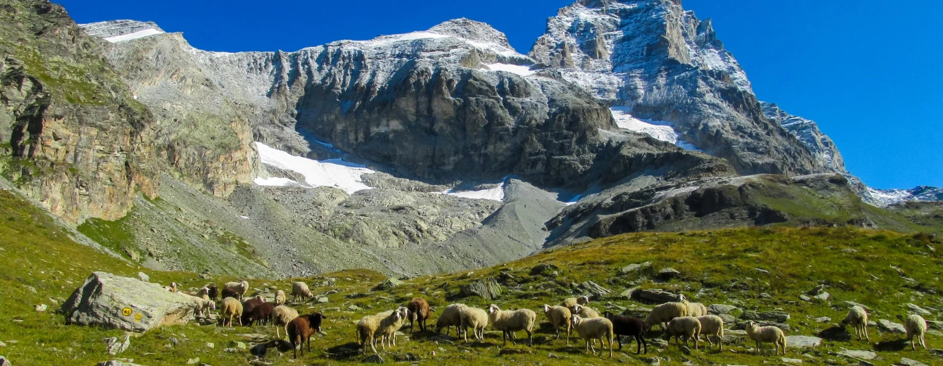 What to do in Cervinia in the summer | VRetreats